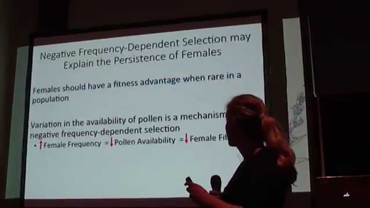 Rivkin: The mechanisms of frequency dependent selection in ...