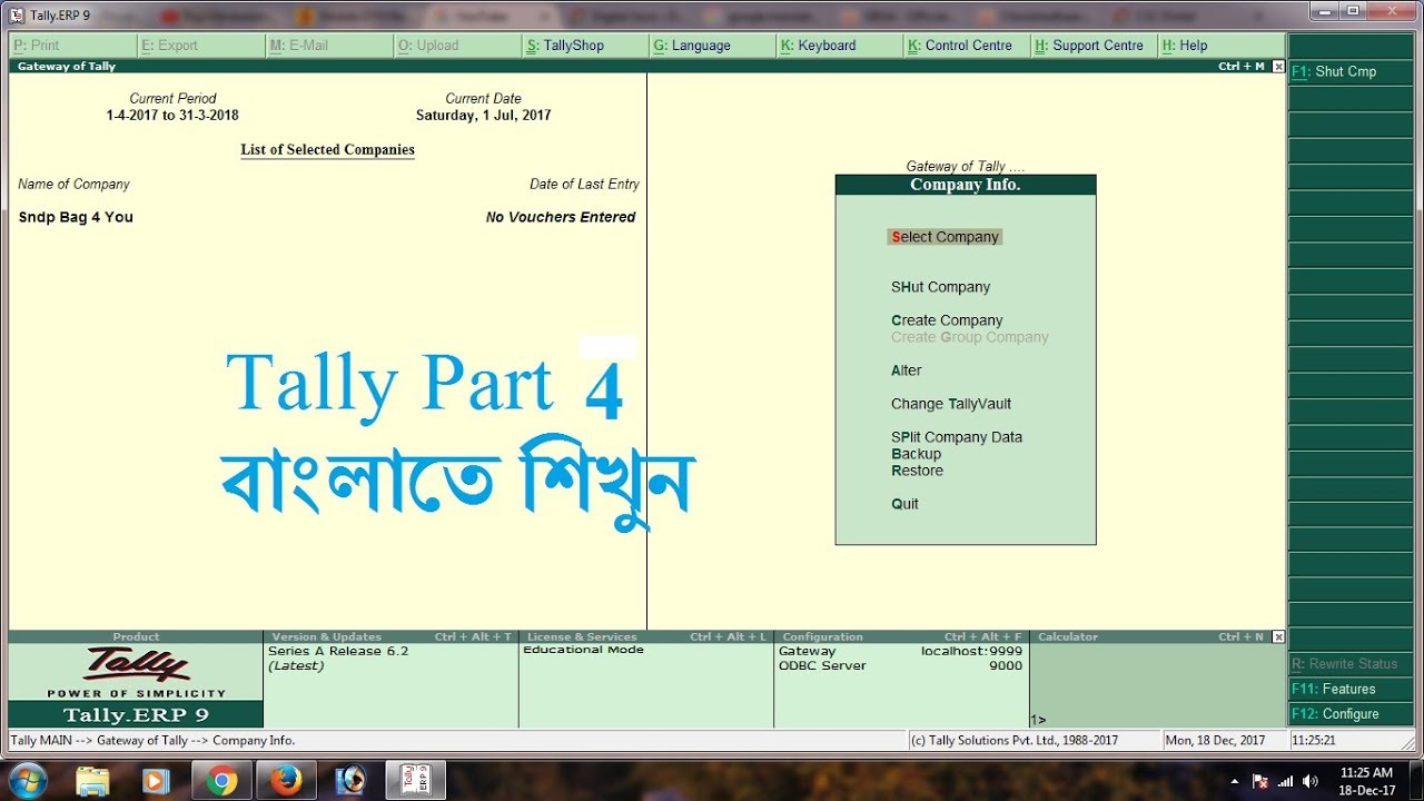 Tally Part 4 video password protect - YouTube