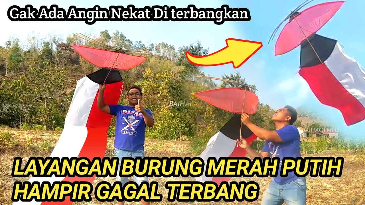 Gak Ada Angin Layangan Merah Putih Nekat Di Terbangkan - YouTube