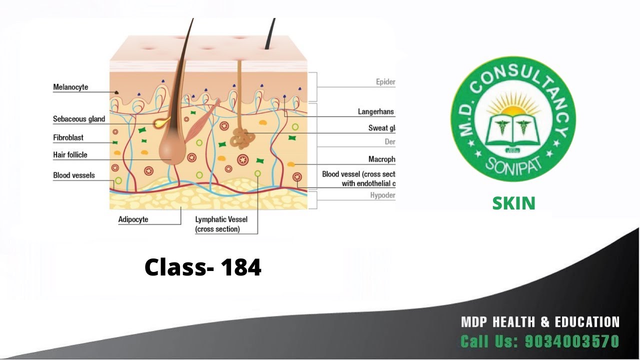 SKIN | Class- 184 l MDP HEALTH & EDUCATION - YouTube