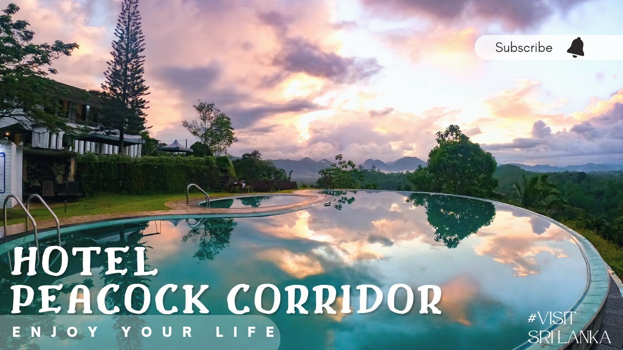 කොළඹ අවටින් සුන්දර නවාතැනක් 🇱🇰 | Hotel peacock corridor | Travel Clip ...
