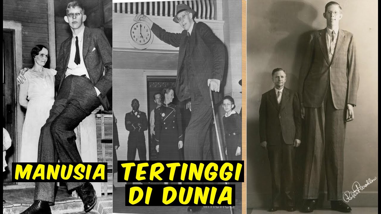 Inilah manusia tertinggi di dunia yang pernah ada - YouTube