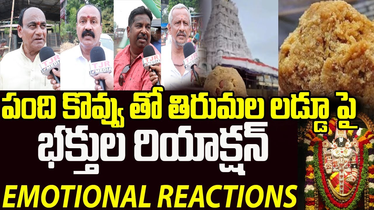 AP People About Tirumala Laddu Kalthi | Which Government Is Good TDP Vs ...