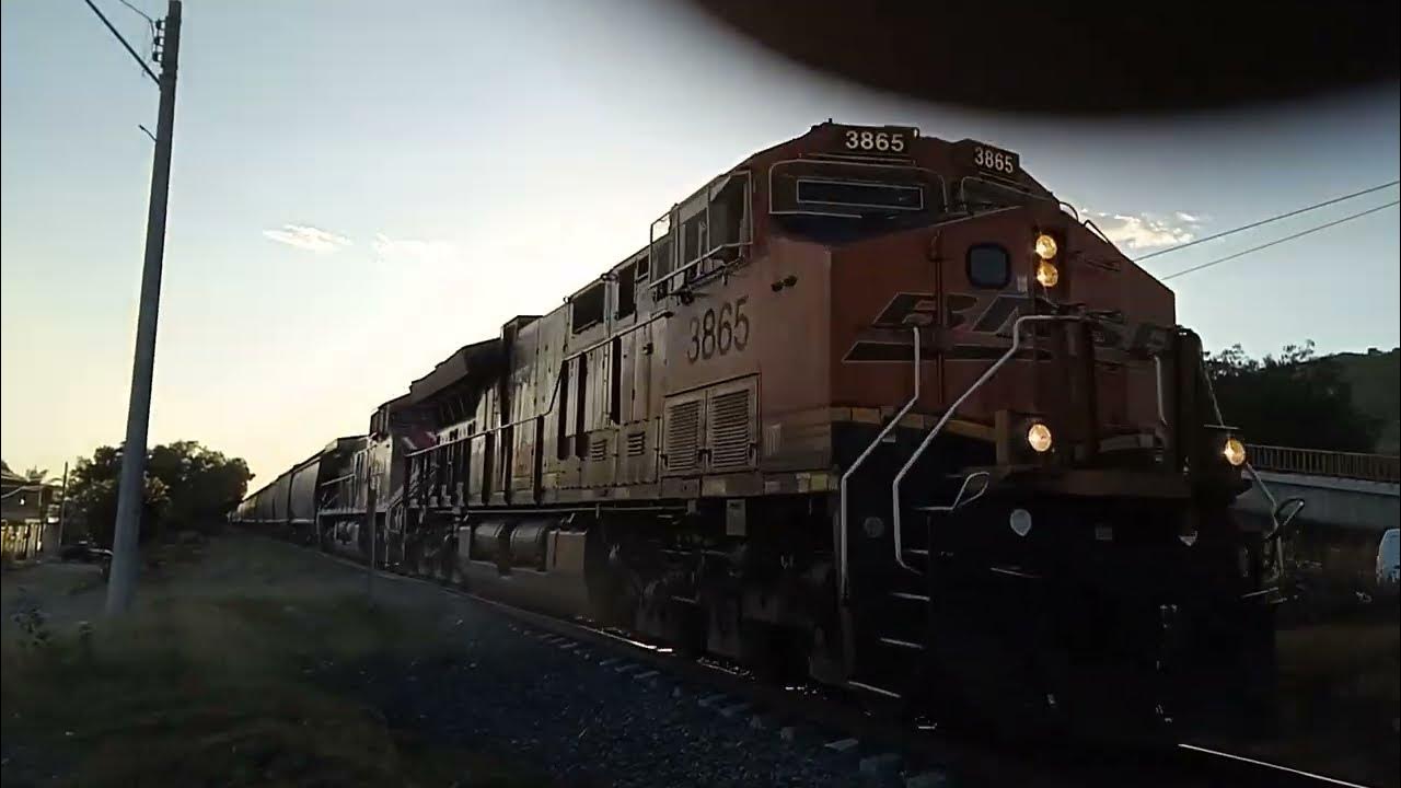 GRANELERO BNSF 3865 FXE 4565 CEBRA Y REMOTAS BNSF 5213 BNSF 5624 EN PK A-424 - YouTube