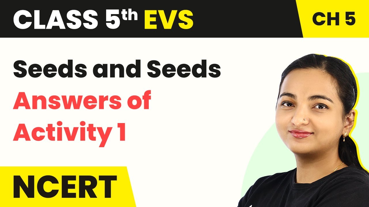 Class 5 EVS Chapter 5 Answers Of Activity 1 Seeds And Seeds YouTube class-5-evs-chapter-5-answers-of-activity-1-seeds-and-seeds-youtube