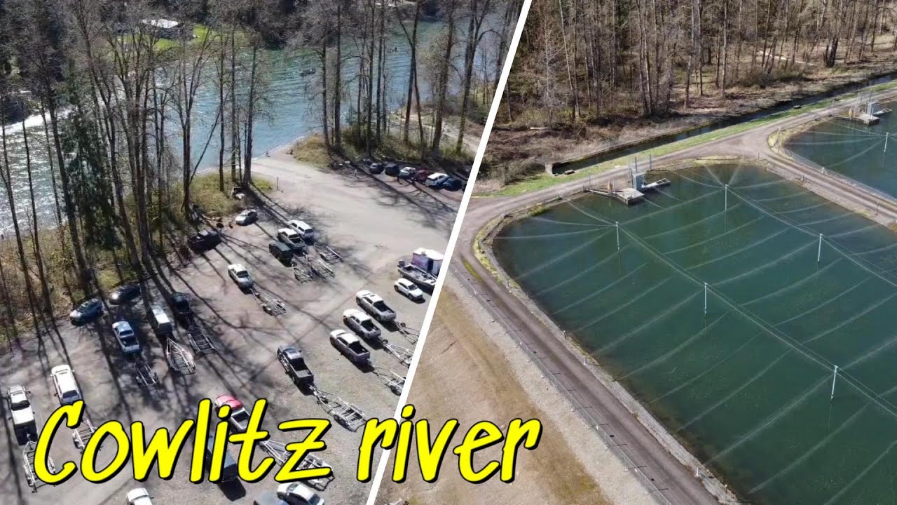 Blue creek hatchery Cowlitz river sky view#steelheadfishing - YouTube