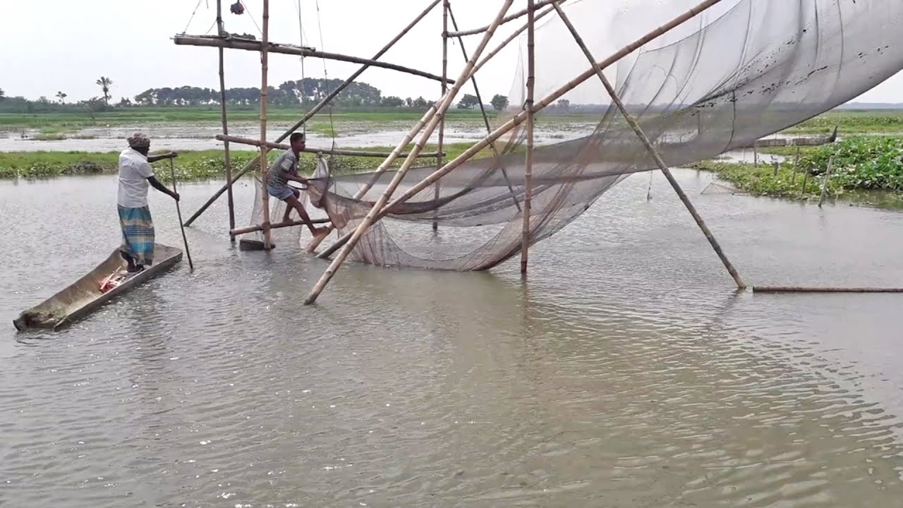 Traditional Fish Hunting with Vashal - Oldest Fishing Trap - YouTube