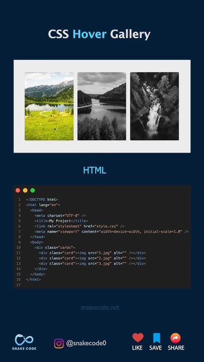 CSS Hover Gallery #html5 #css3 #htmlcss #js #webdeveloper #cssanimation #frontend # ...
