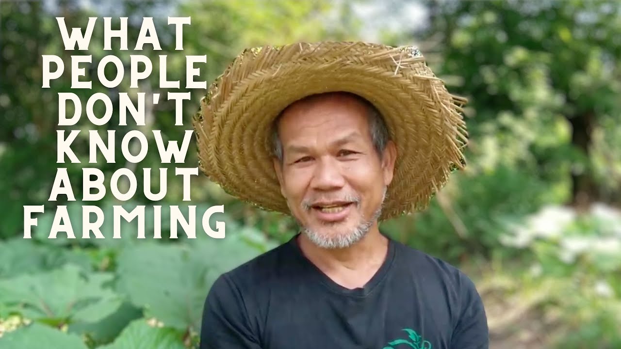 What people don't know about farming : Jon Jandai - YouTube