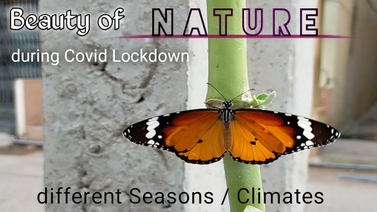 #Beauty of Nature || During Covid Lockdown days - YouTube