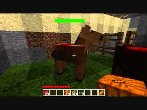 Minecraft:Mo`Creatures Mod:Horse breeding Tutorial - YouTube