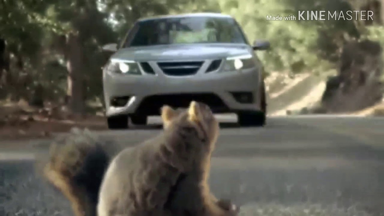 Bridgestone Scream (Red Icee Channel Crossovers) - YouTube