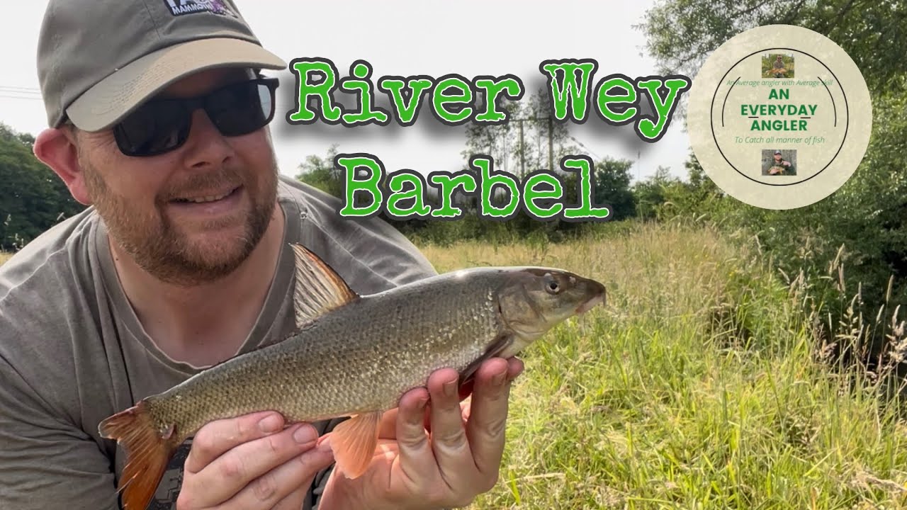 First River session - The River Wey - Somerset Bridge - Farnham Angling ...