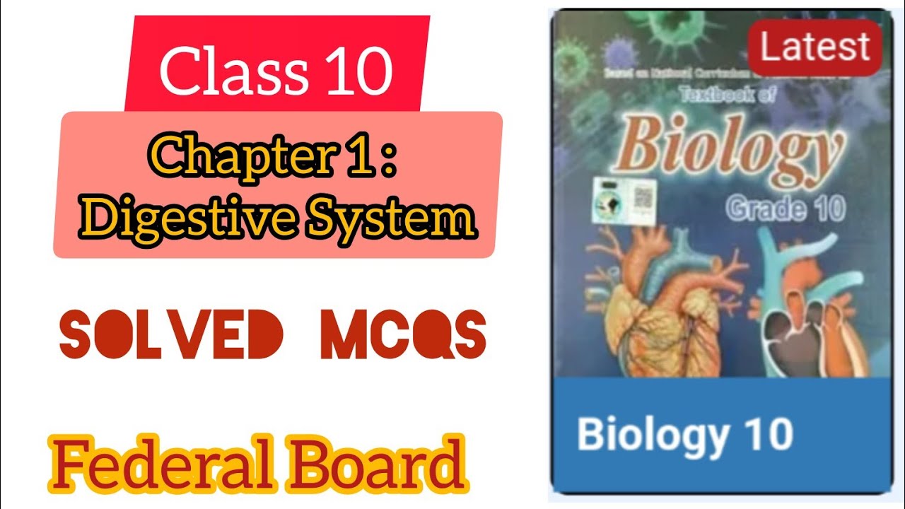 Class 10 Biology Chap 1 Digestive System Solved Mcqs New NBF 2025 ...