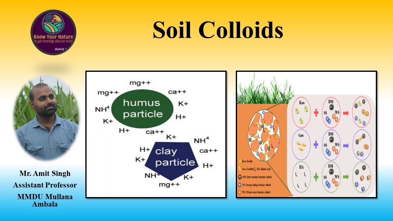 Soil Colloids - YouTube