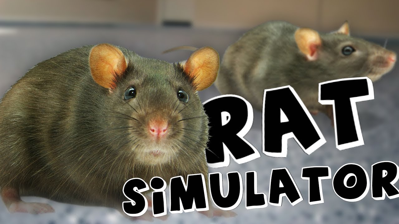 BEST Rat simulator Game || Playing Funny rat 😂game Tamil || Rat ...