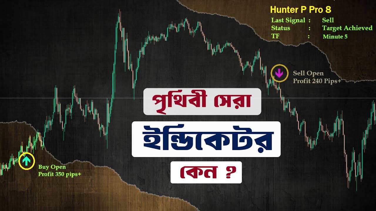 Hunter P Pro 8 -World Best Forex Trading Indicator।। No.1 Indicator For ...