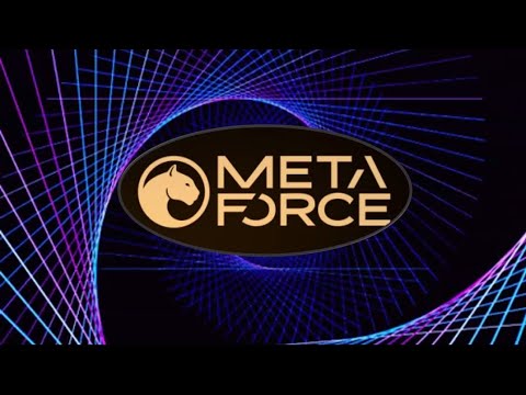 02/10/2024 META~FORCE PLAN PRESENTATION TIGER TEAM INDIA - YouTube