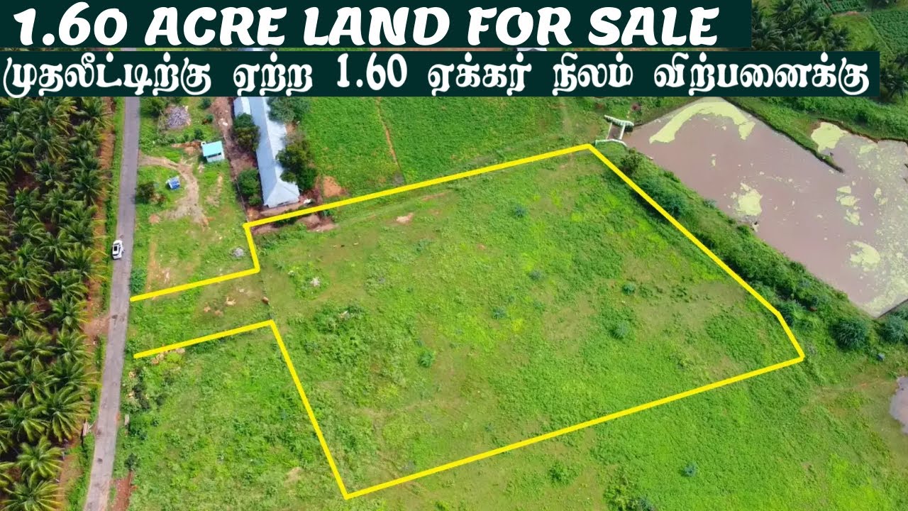 1.60 ACRE LOW BUDGET LAND FOR SALE |முதலீட்டிற்கு ஏற்ற1.60 ஏக்கர் நிலம் ...