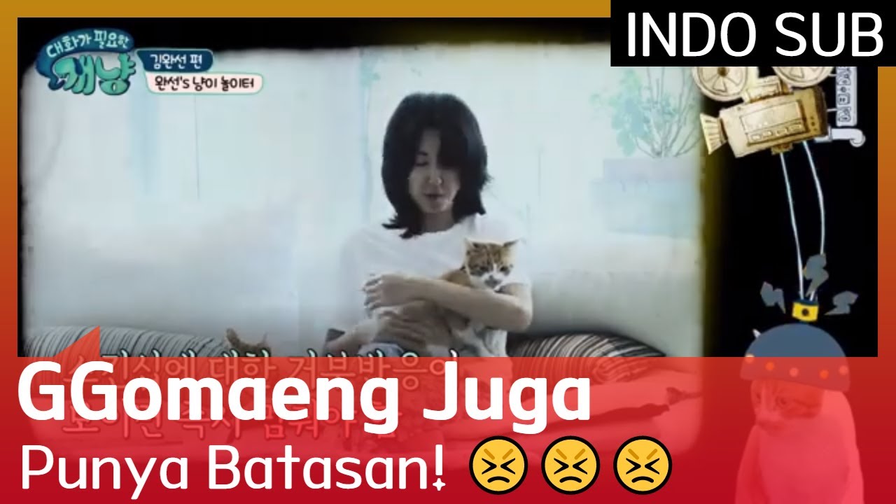 GGomaeng Juga Punya Batasan! 😣😣😣 #DearMyHuman 🇮🇩SUB INDO🇮🇩 - YouTube