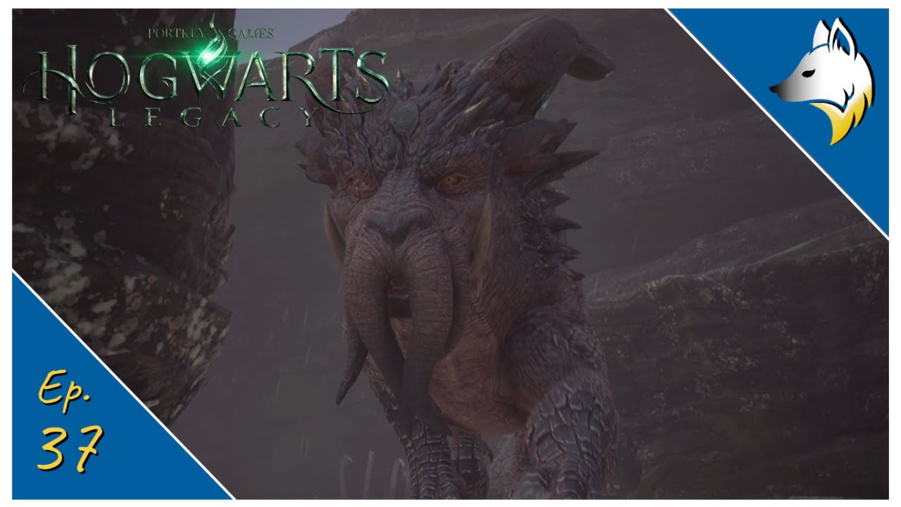 Un GRAPHORN, un DRAGÓN y un UNICORNIO | Hogwarts Legacy | Ep. 37 - YouTube