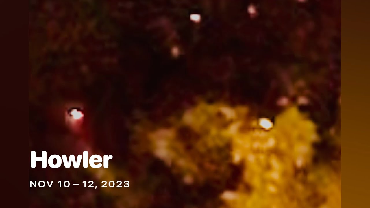 Howler Inter-Dimensional Scenes Channeling the Sasquatch ! Nov.10, 2023 ...