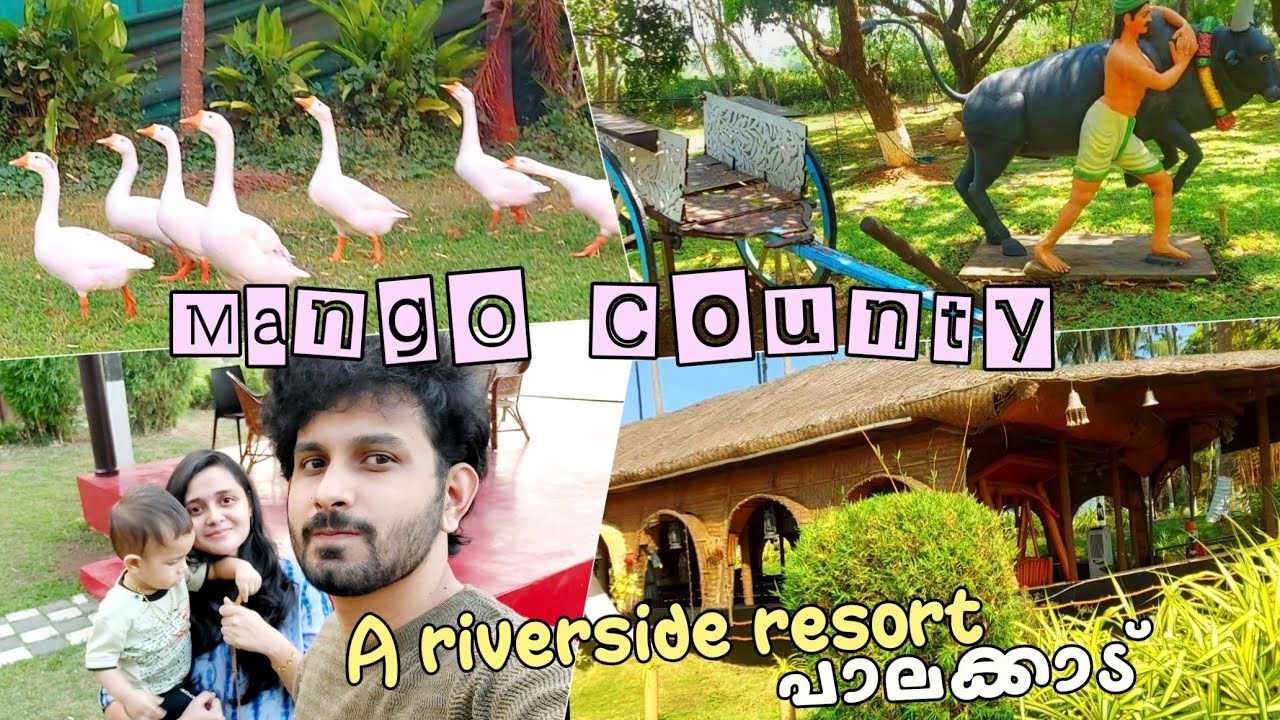 Mango County Resort at Palakkad | Travel Vlog Malayalam | Resorts in ...