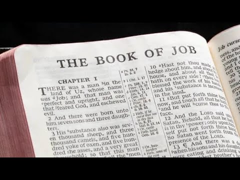 The Book of Job: Chapter 31 (KJV) - YouTube