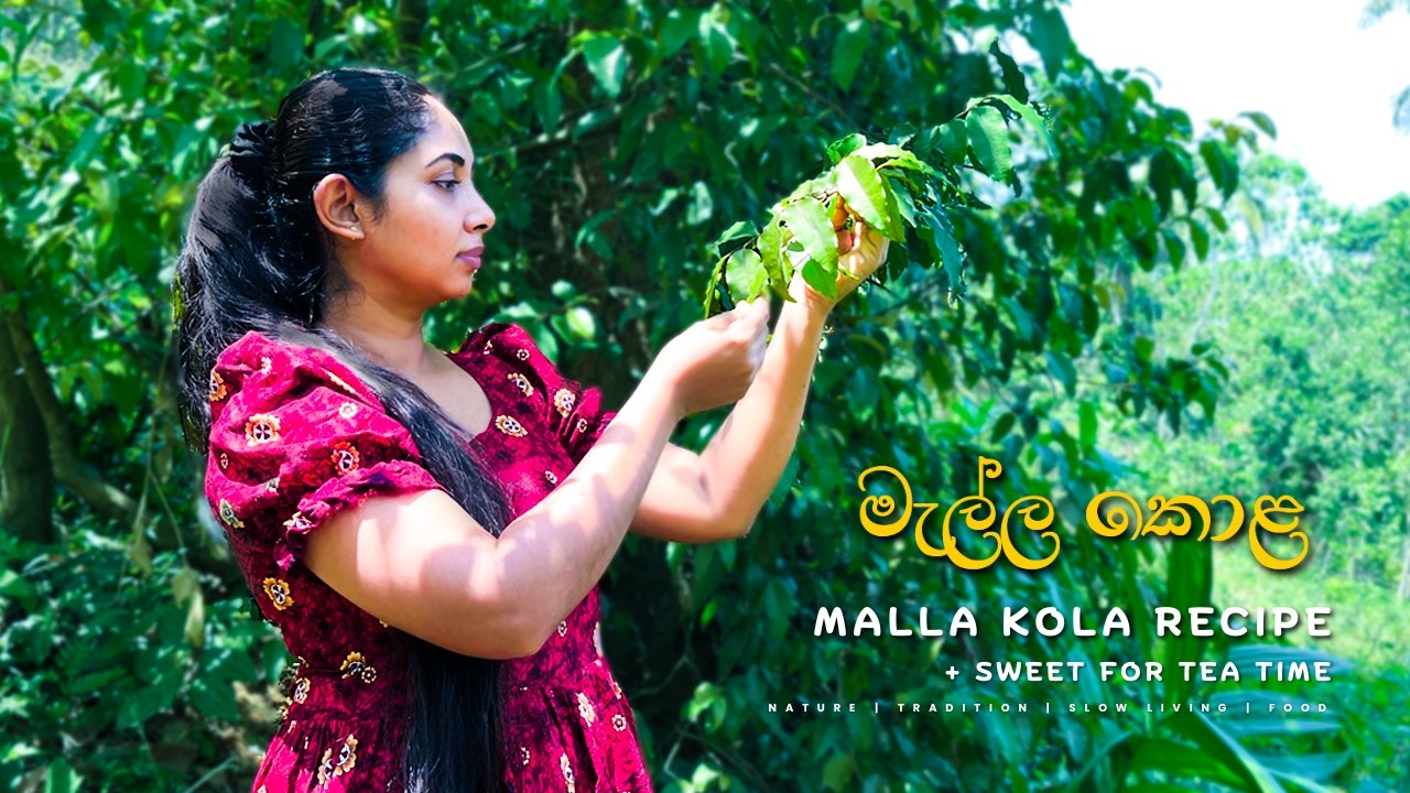 Foraging Wild Leaves & Cooking Malla Kola Baduma + Evening Tea Sweet ...