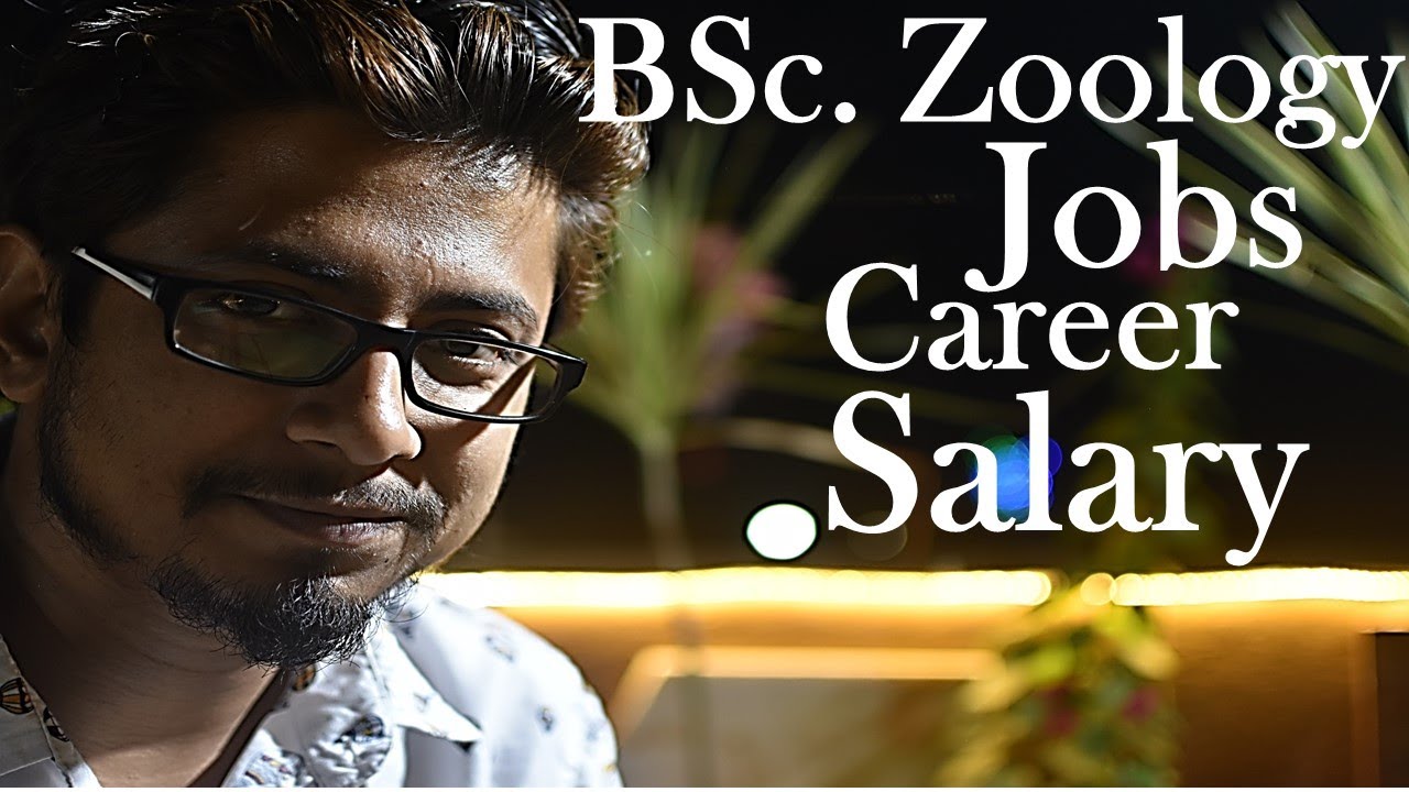 Zoology Career Jobs And Salary What To Do After Bsc In Zoology YouTube Zoology Career Jobs And Salary What To Do After Bsc In Zoology YouTube