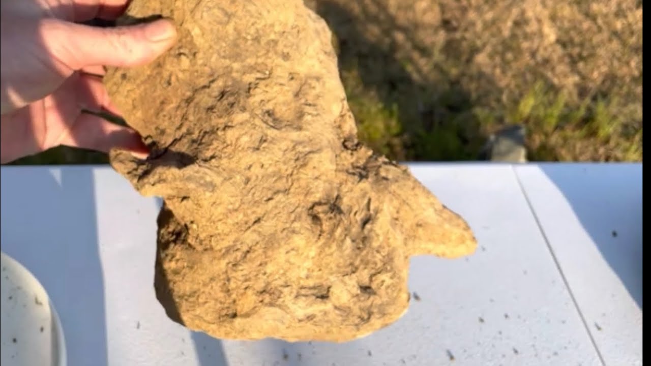 Repeating Motifs - Indigenous Art of North Carolina. Wooden, Pottery ...