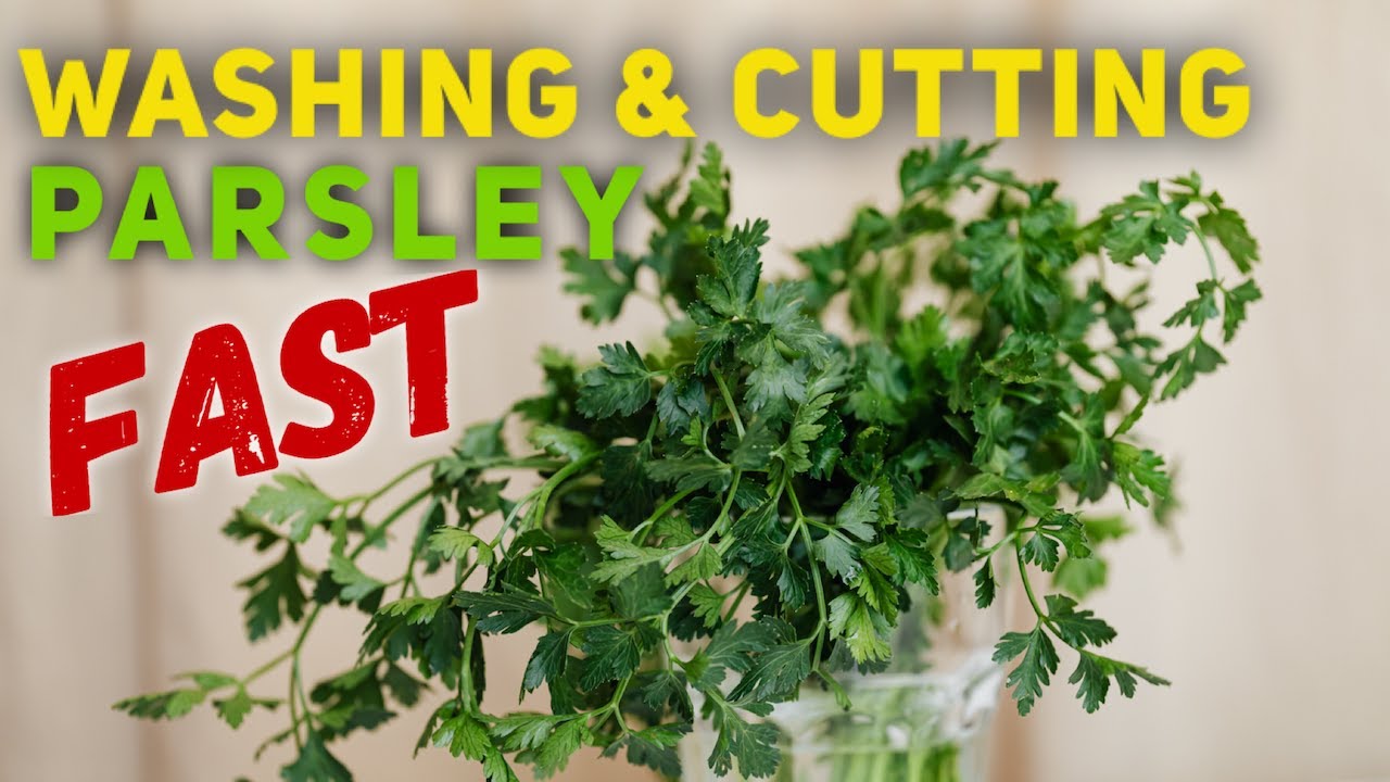 Washing & Cutting Parsley FAST - YouTube