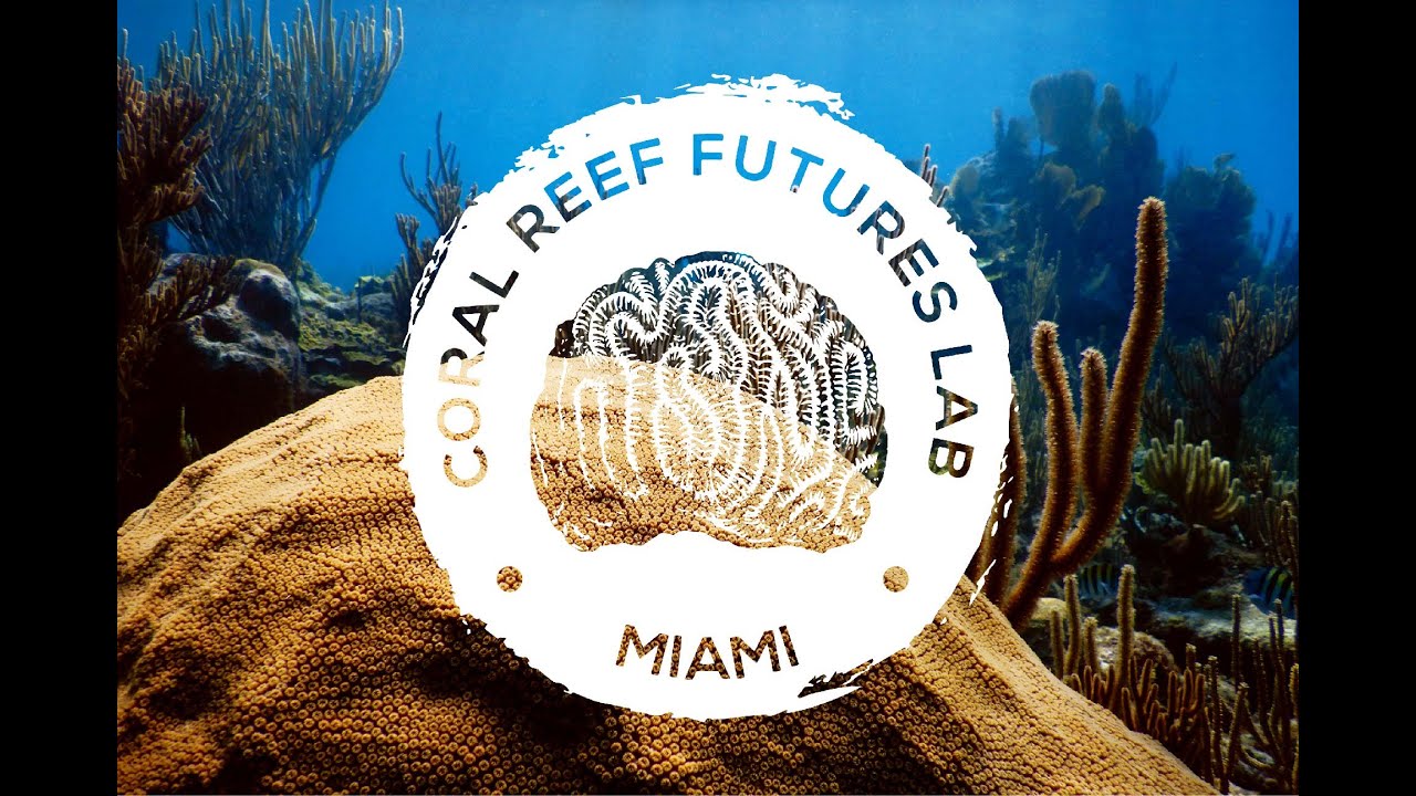 Coral Reef Futures Lab - YouTube