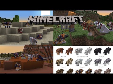 TODAS AS NOVIDADES DA VERSÃO BETA 1.20.80.21 DO MINECRAFT | NOVOS LOBOS ...