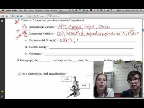 SOL Review 1 (Scientific Investigation) - YouTube