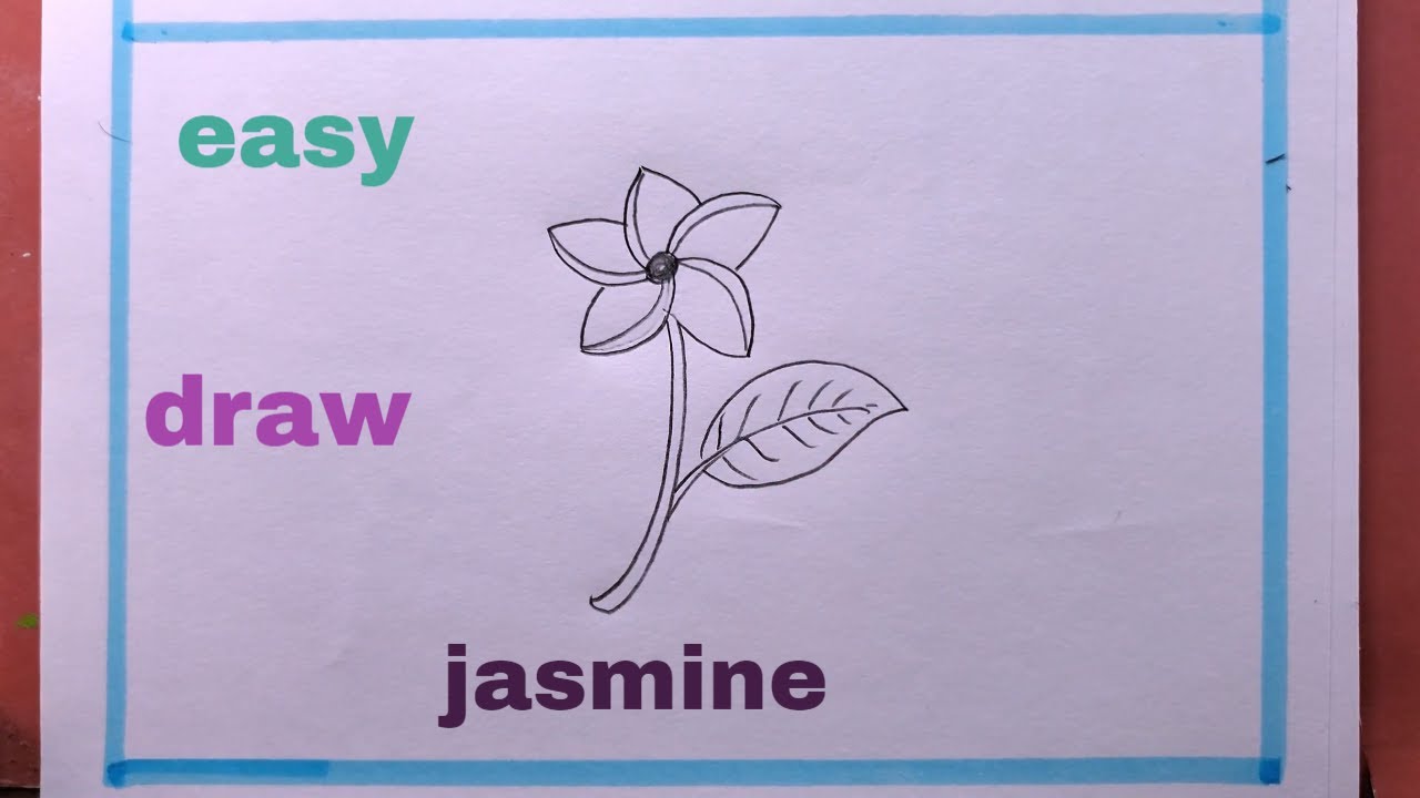 Drawing Jasmine Flower/How To Draw Jasmine Flower Easy - YouTube