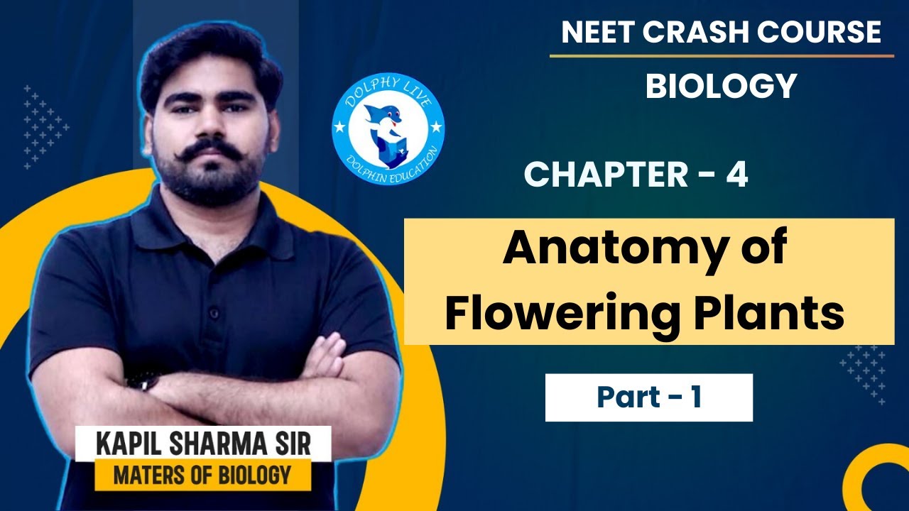 Biology Chapter 4 - Anatomy of Flowering Plants, Part- 1 | NEET Biology ...