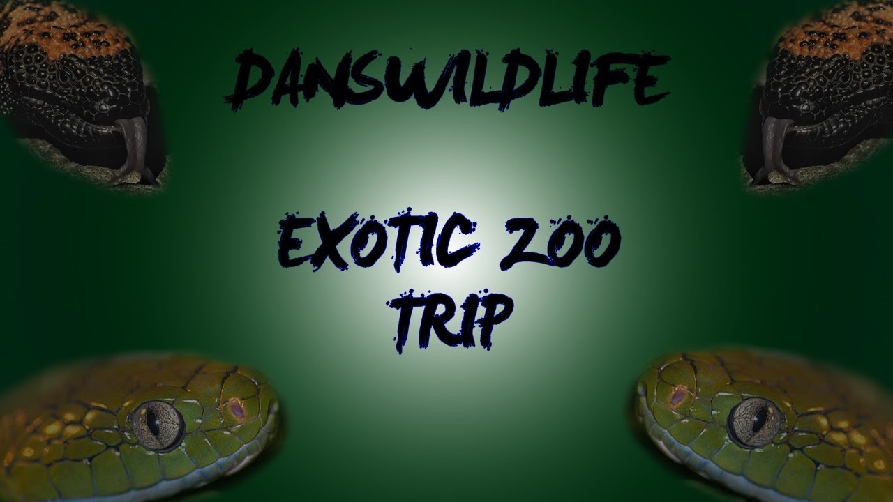 Dans Wild Life - Exotic Zoo Trip - YouTube