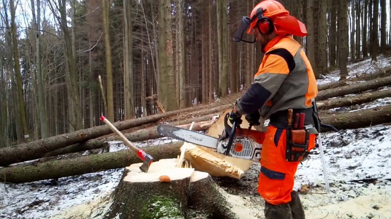 Work in forest, 320-2020, Im Wald arbeiten, Práce v lese 🇨🇿 - YouTube