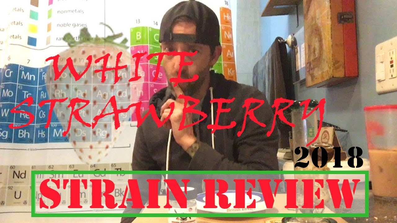 White Strawberry Strain Review...OG Raskal Genetics - YouTube