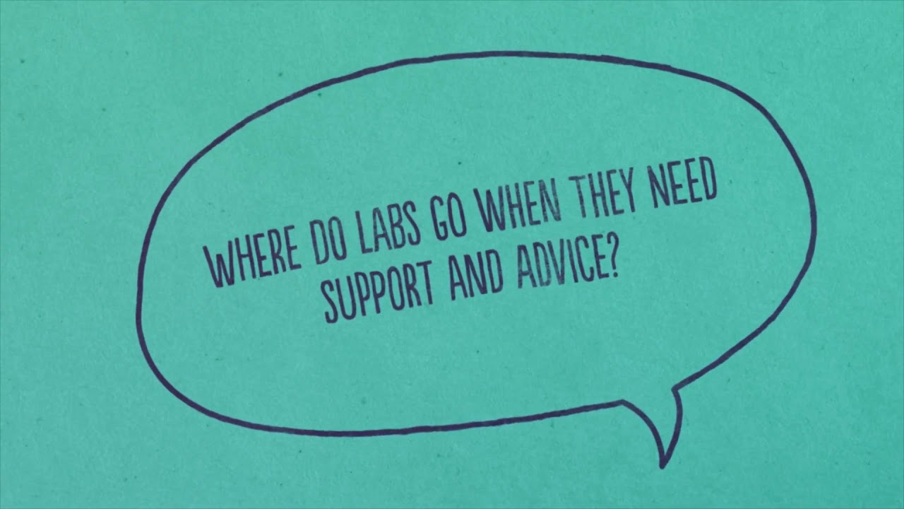 Clinical Lab Advisor - How it Works - YouTube