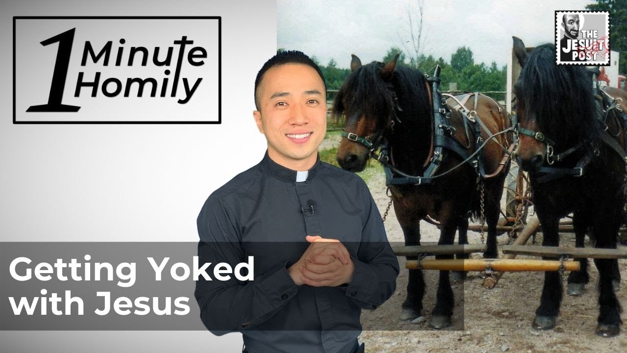 Getting Yoked with Jesus | One-Minute Homily - YouTube