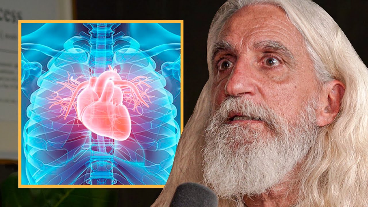 “El Corazón Tiene Neuronas” Cómo Controlarlo para Tomar Mejores ...