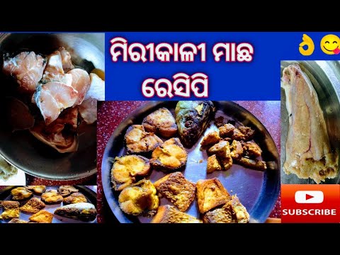 ମିରୀକାଳୀ ମାଛ ତରକାରୀ ରେସିପି ||Mirikali Fish Curry Recipe||Odia Village ...
