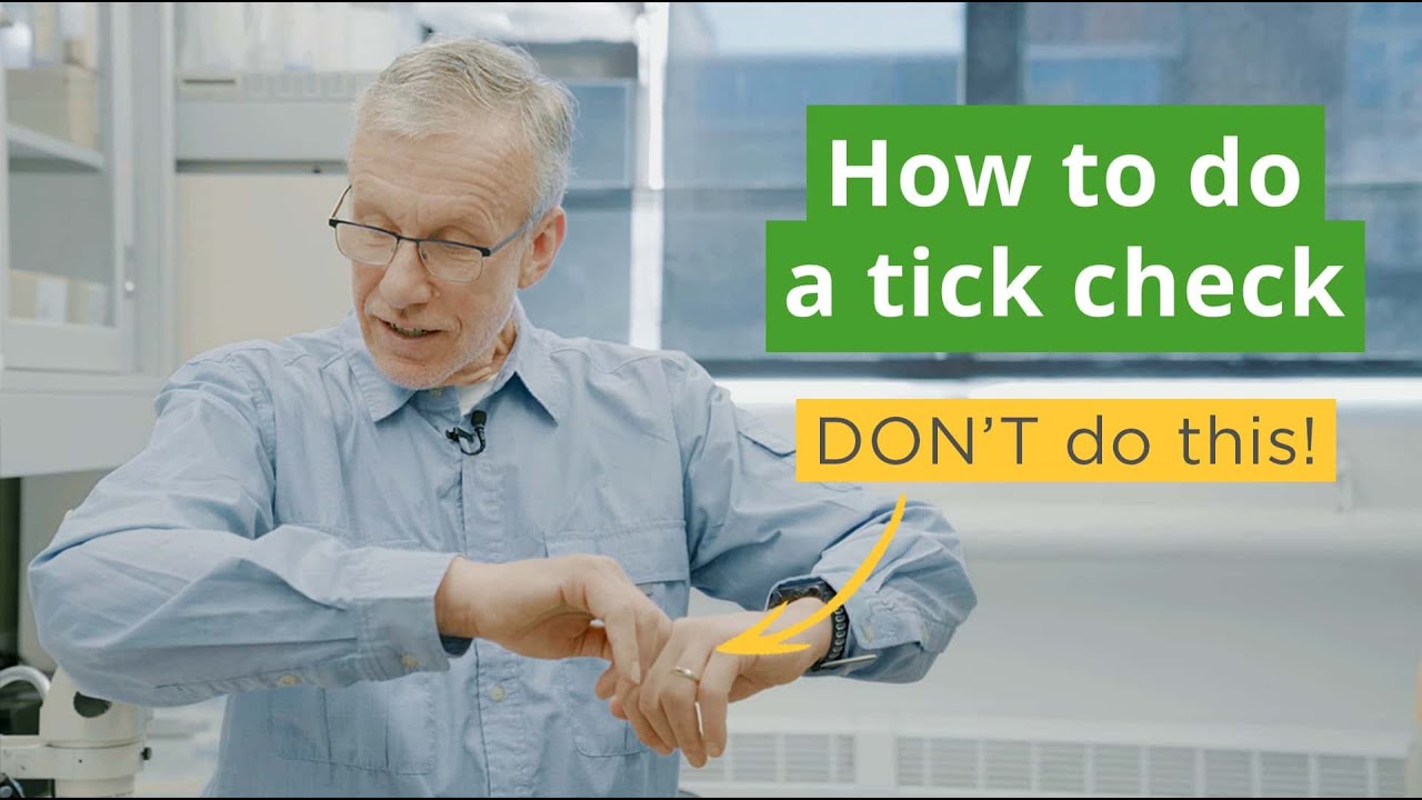 How to Do a Tick Check | Tips for You and Your Pets - YouTube