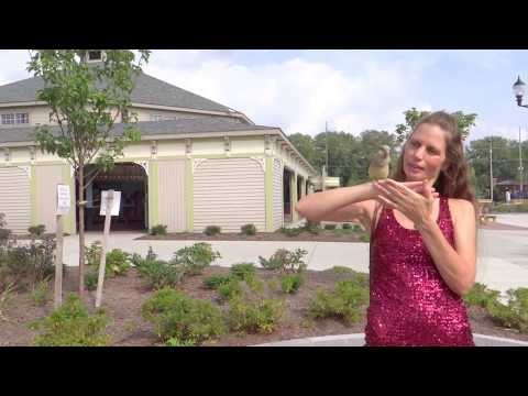 Revisiting A Talking Bird at Eldridge Park NY