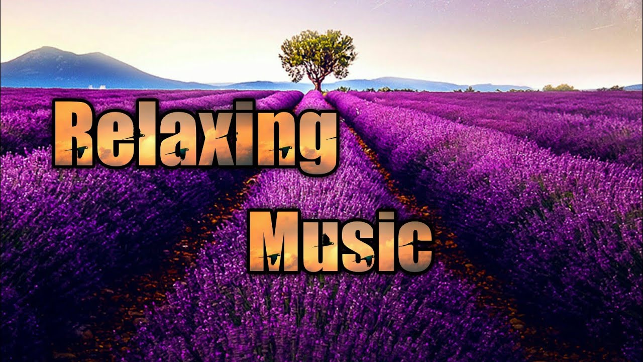 Relaxing peacful Background music instrumental -nature, Nature of ...