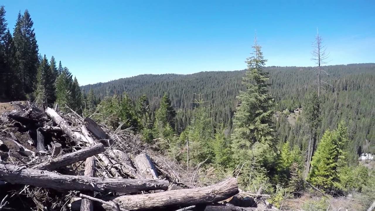 Pipi Valley, Eldorado Forest, trail 35, honda 400ex - YouTube