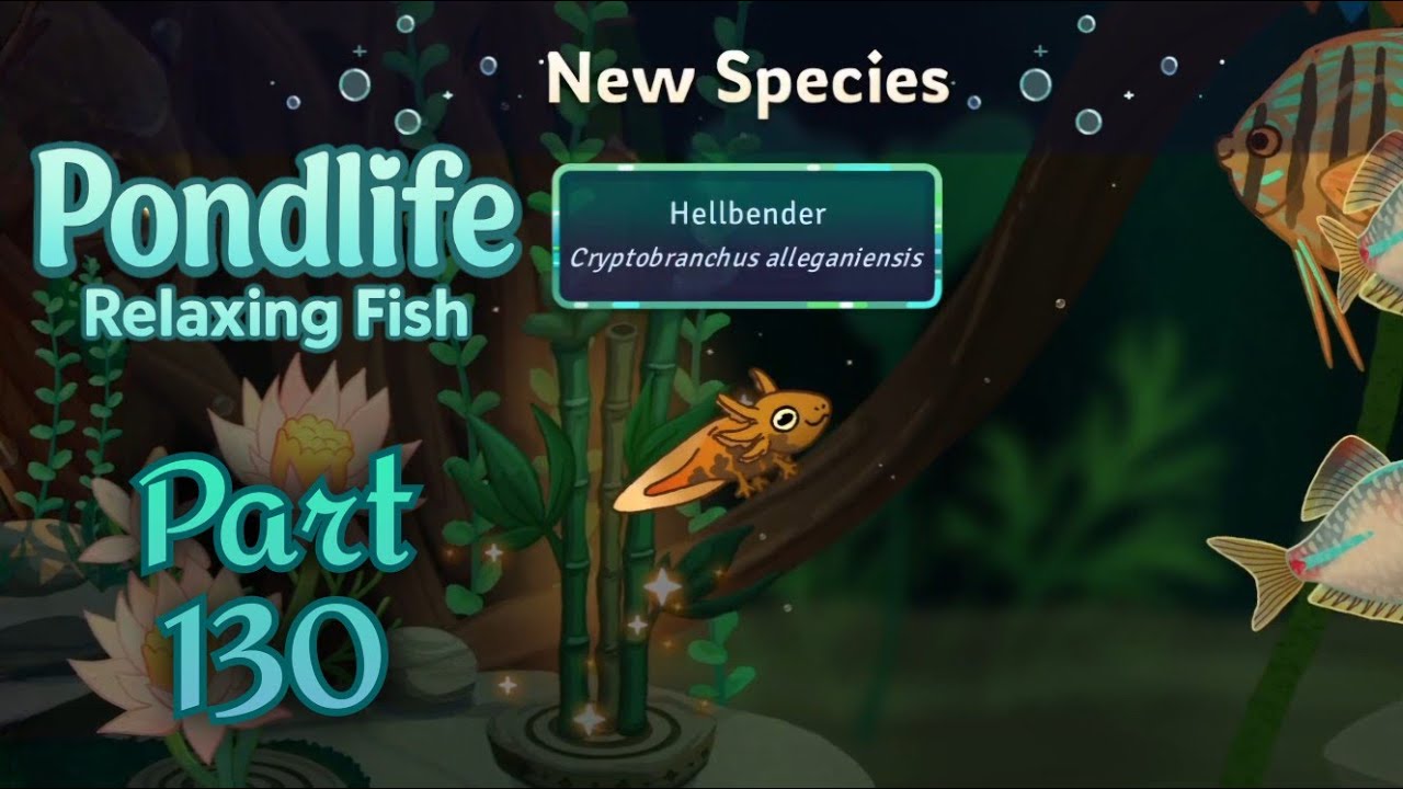 🐟 Pondlife - Relaxing Fish Game Walkthrough Part 130 | Mobile Gameplay ...