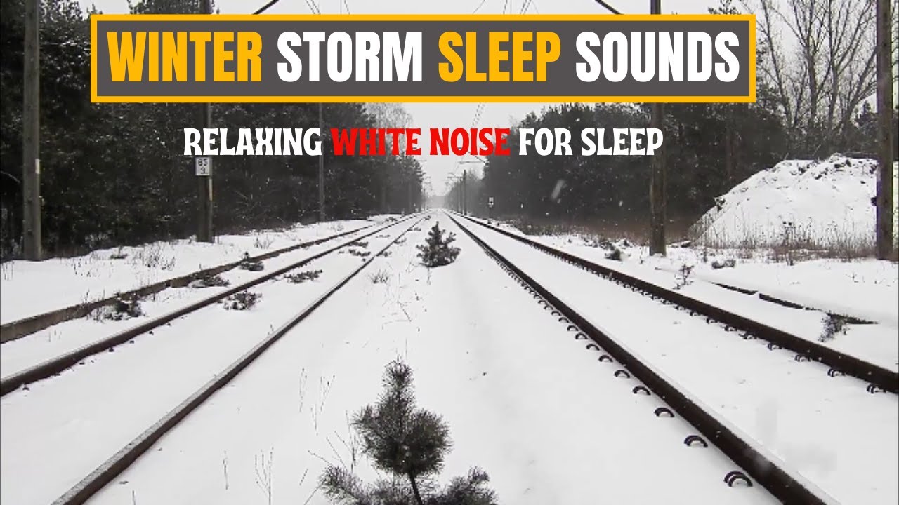 Winter Storm Sleep Sounds🎧 Heavy Snowstorm Sounds for Sleeping🎧 ASMR ...